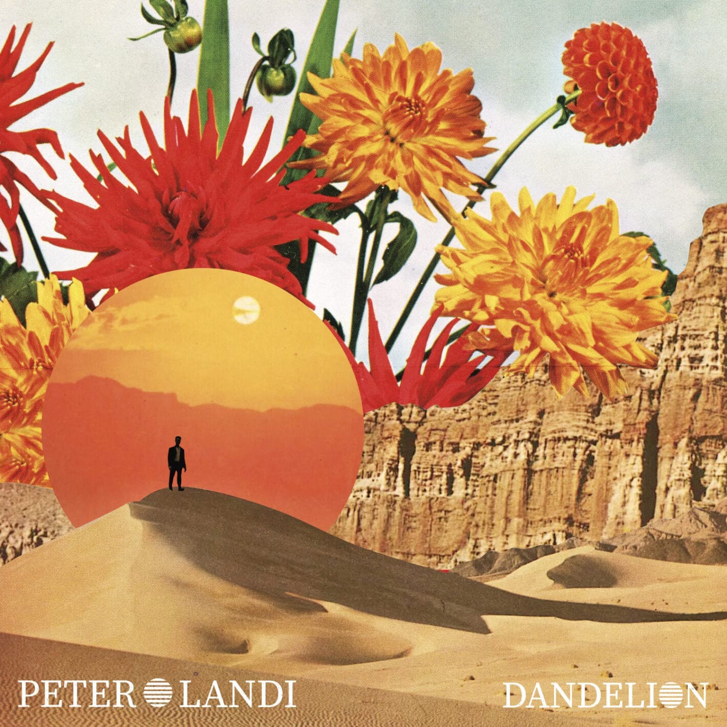 Peter Landi lança “Dandelion” — um escape psicodélico de verão